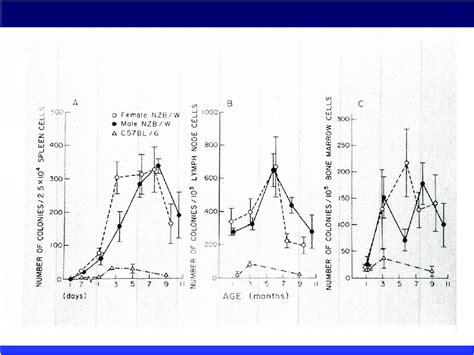 Primary B Cell Defect In Nzb Nzwf1 Mice Experimental Data Showing Download Scientific Diagram
