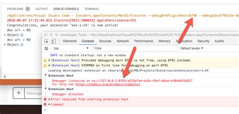 Reload Window Breaks Eh Debugging · Issue 55955 · Microsoftvscode · Github