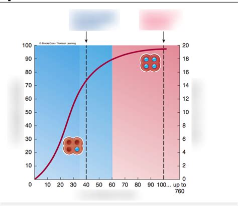 O Hb Dissociation Curve Diagram Quizlet
