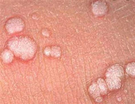 МЭДЭЭЛЭЛ 10 БЭЛЭГ ЭРХТНИЙ ҮҮ БЗХӨ зөвлөгөө мэдээлэл Facebook