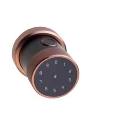 Ozone Oracle Bronze And Black Smart Biometric Door Lock Oz Fdl 11 Rbl Gold At Rs 20852 96