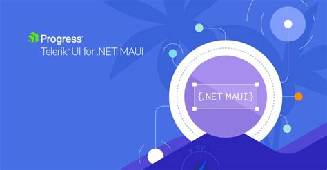 Beyond The Basics Best Practices—ui Handling In Net Maui Leomaris Reyes