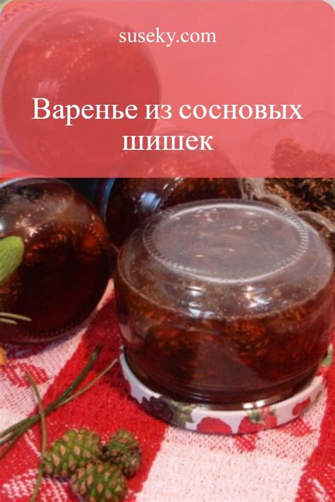 Полезное и вкусное варенье из сосновых шишек Идеи для блюд Зимние рецепты Варенье