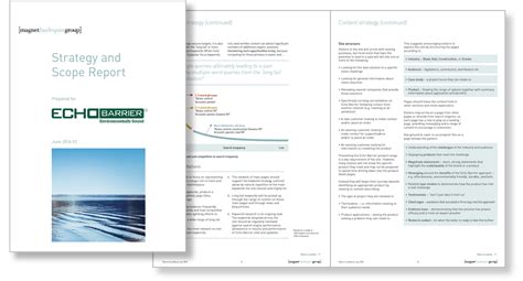 Strategy And Scope Report Case Study