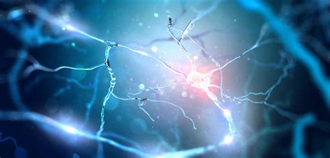 Un Compuesto Presente En La Piel De Algunas Frutas Podría Ayudar A