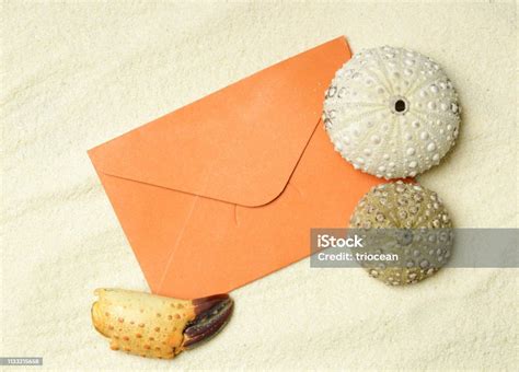 화이트 비치 모래에 오렌지 빈 봉투 조개 여행 개념 서식 파일에 둘러싸여 0명에 대한 스톡 사진 및 기타 이미지 0명 개념 개념과 주제 Istock
