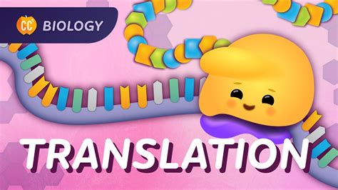 How Rna Gets Translated Into Protein Power Crash Course Biology 35
