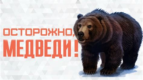 Medved  Официальный сайт администрации городского округа поселок Палана