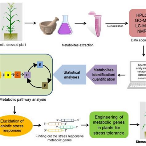 1 Workflow For Metabolomics Analysis And Metabolic Engineering For Download Scientific Diagram