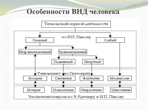 Чувствительность к внешним воздействиям и тип ВНД презентация онлайн