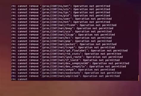 Sudo Rm Rf Npm Install