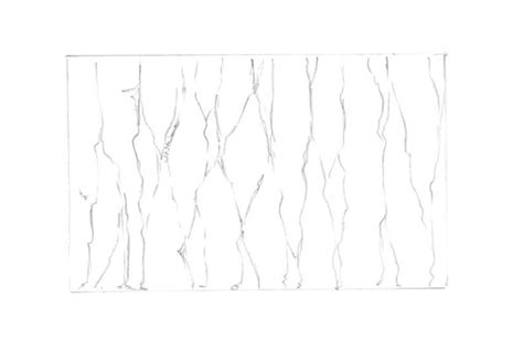 How To Draw A Tree Envato Tuts