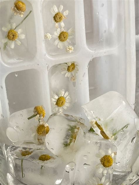Ромашки