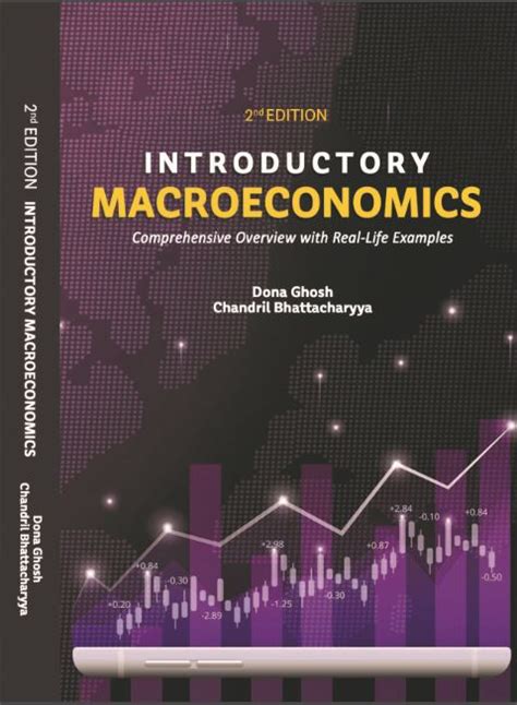 Introductory Macroeconomics Comprehensive Overview With Real Life