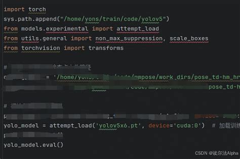 自己调用yolov5模型进行前向推理时的报错return Torchcatx Selfd Runtimeerror Sizes