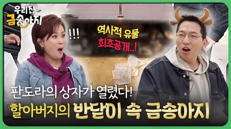 🔮판도라의 상자 개봉 부안에서 찾은 역사적 유물 대공개👀 우리집 금송아지 7회 다시보기 재미 Play Youtube