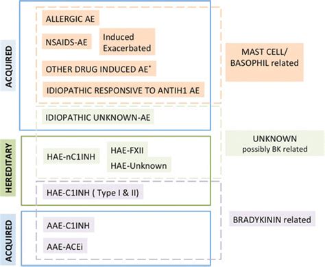Classification Of Angioedema Without Wheals Download Scientific Diagram