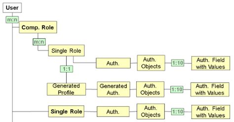 Sap Security Authorization Concept