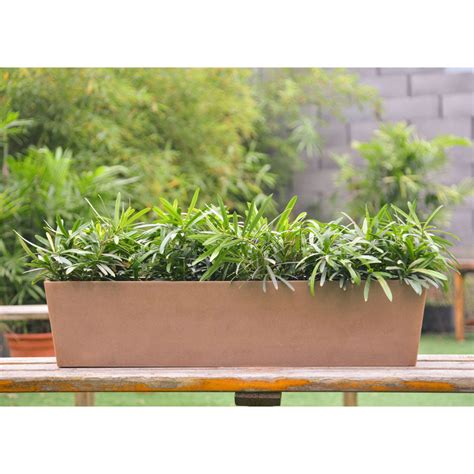 Rectaflora Pot Rectangular Pot Plant And Pot Co
