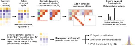 bayesian multivariate genetic analysis improves translational insights iscience