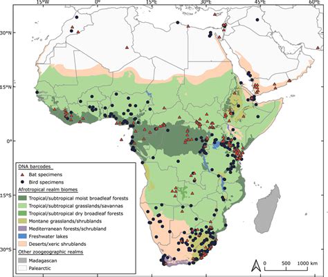 Sampling Localities Of The Phylogenetically Informative Dna Barcodes