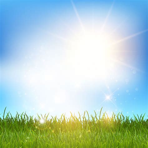 Blue Sky And Grass Landscape Scenery Background Landscape Sky Images