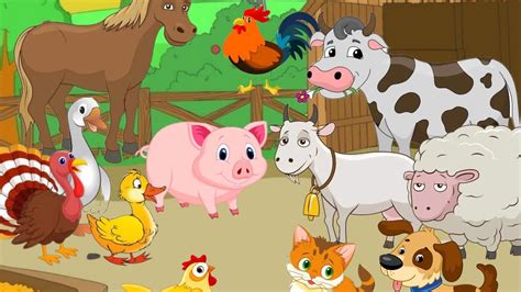 Свійські тварини Загадки про свійських тварин та птахів для дітей Youtube