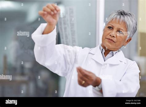 Searching For Proof That Her Theory Works A Female Scientist Holding