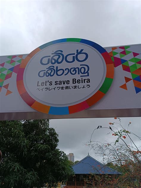 スリランカ政府に協力し環境活動の無償協力 Singate シンガポール進出・法人設立・資産運用【シンガポール 会社設立】