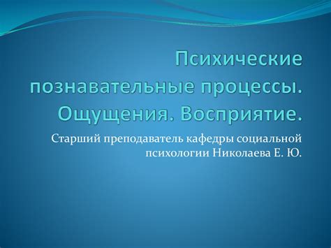 Психические познавательные процессы. Ощущения и восприятие ...