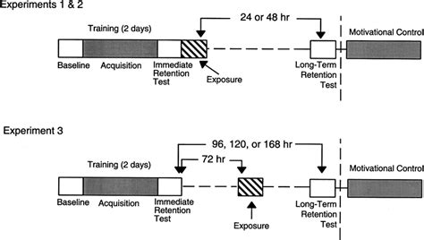 The General Experimental Design Of Experiments 1 And 2 Top And