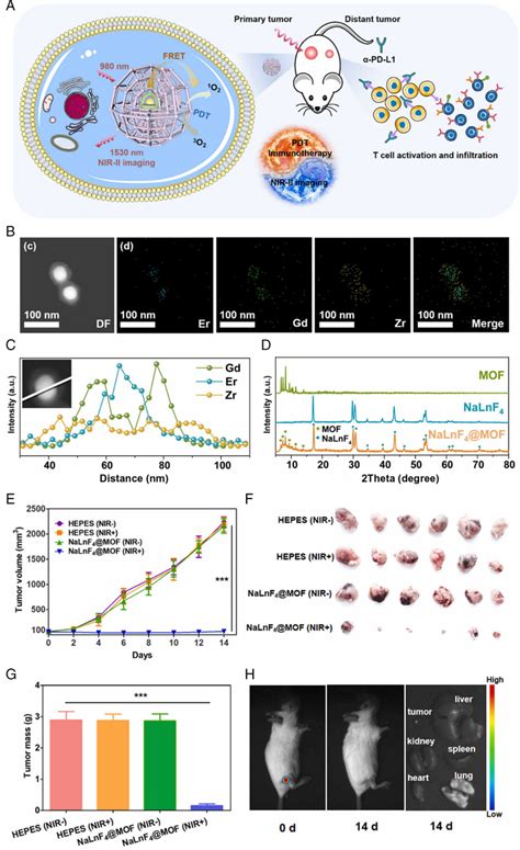 A Schematic Illustration Of Nalnf4 Mof Heterostructured Nanoparticles Download Scientific