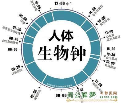 人体生物钟与大自然以及生物钟和做梦的关系梦之相关 常梦网