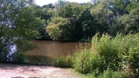 Epping Forest All You Need To Know BEFORE You Go Updated 2020 England Tripadvisor