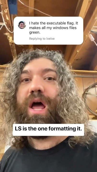 Mounting Ntfs Filesystems On Linux Can Make Ls Look Wild Youtube