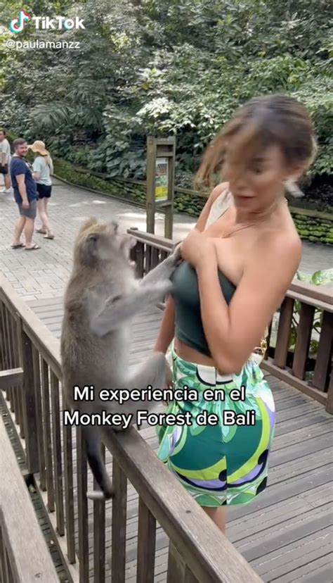 Handsy Monkey Goes Wild On Former Miss Peru Paula Manzanal In Bali