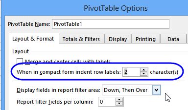 Excel Pivot Table Report Layout