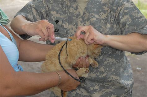 Document Gallery Mission Compassion Foundation