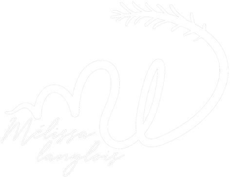 Relevé 3d Melissa Langlois