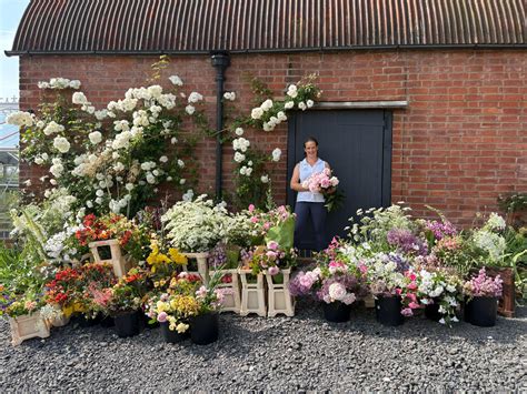 Mortimer Willow Mortimer Willow Added A New Photo