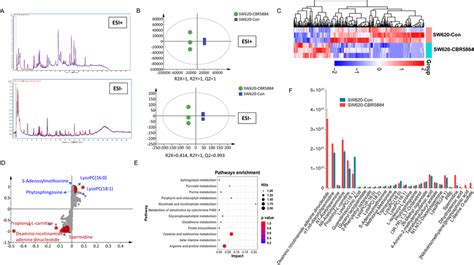 Metabolic Analysis Of Phgdh Inhibition In Colon Cancer Cells A The