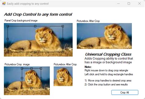 C Universal Control Cropping Class Codeproject