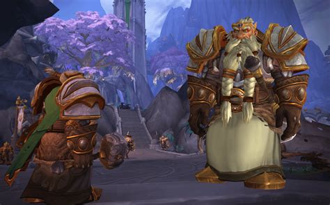 Dwarf Paladin Rtransmogrification