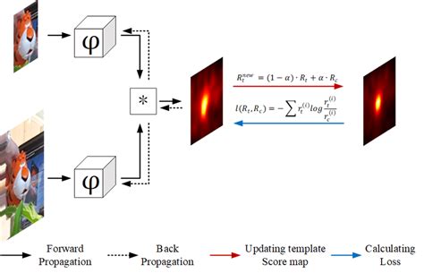 Framework Of Online Training For Siamfc Network Download Scientific Diagram