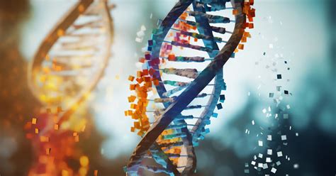 Use Case View Payer Responses In Real Time With Mmit Engage Mmit