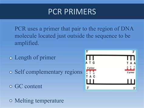 Sem4 Cdna Sythesis Pcr Designing Primers For Pcr Synthesis Of Genes Shotgun Experiment And