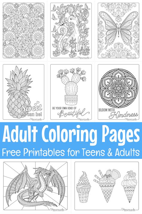 Types Of Rocks Coloring Pages