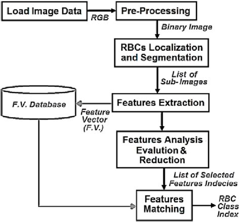 Isolation And Methodology Process Steps Download Scientific Diagram