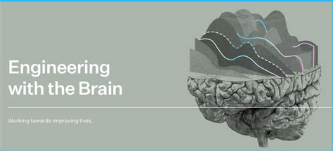 马斯克“代言”的脑机接口赛道，正在变拥挤