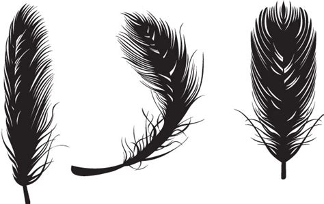 Feather Vectors Vectors Graphic Art Designs In Editable Ai Eps Svg